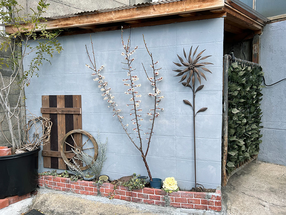 レンタルスペース EBISUYA | HOME